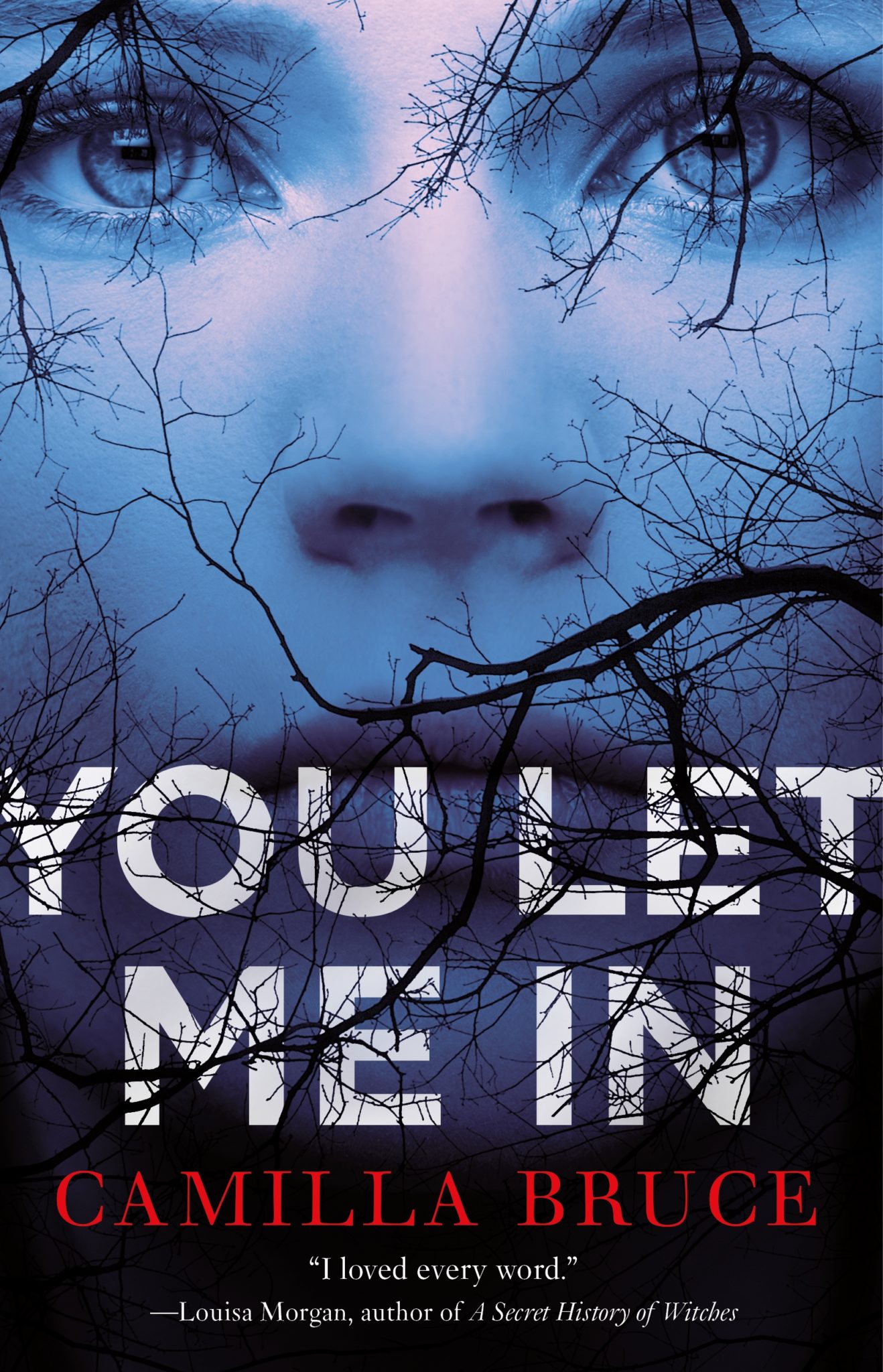 Excerpt: You Let Me In by Camilla Bruce - Tor/Forge Blog