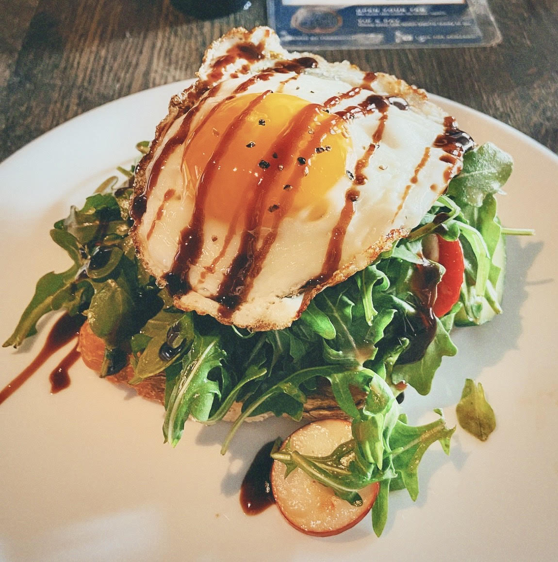 Forge Your Own Book Club: The House Guest by Hank Phillippi Ryan - Tor/Forge Blog