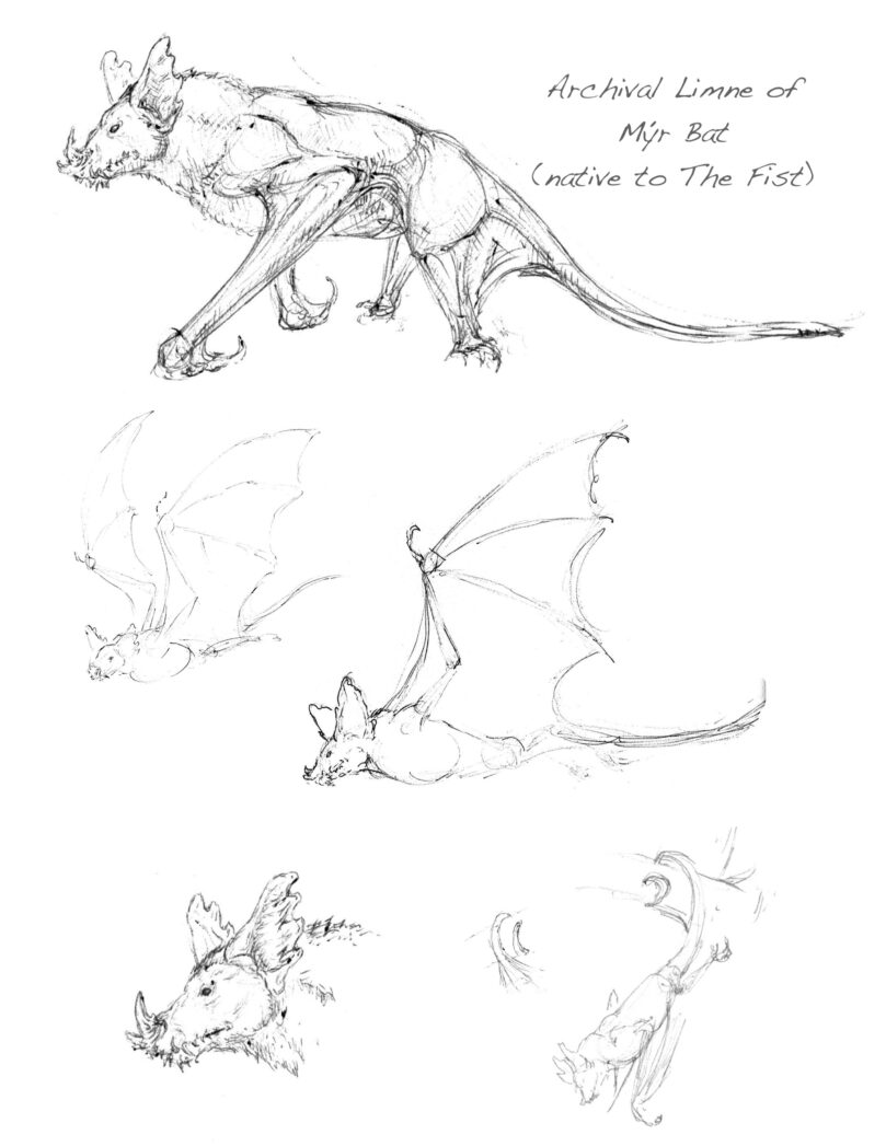 Is a Bat a Dragon? We Asked James Rollins