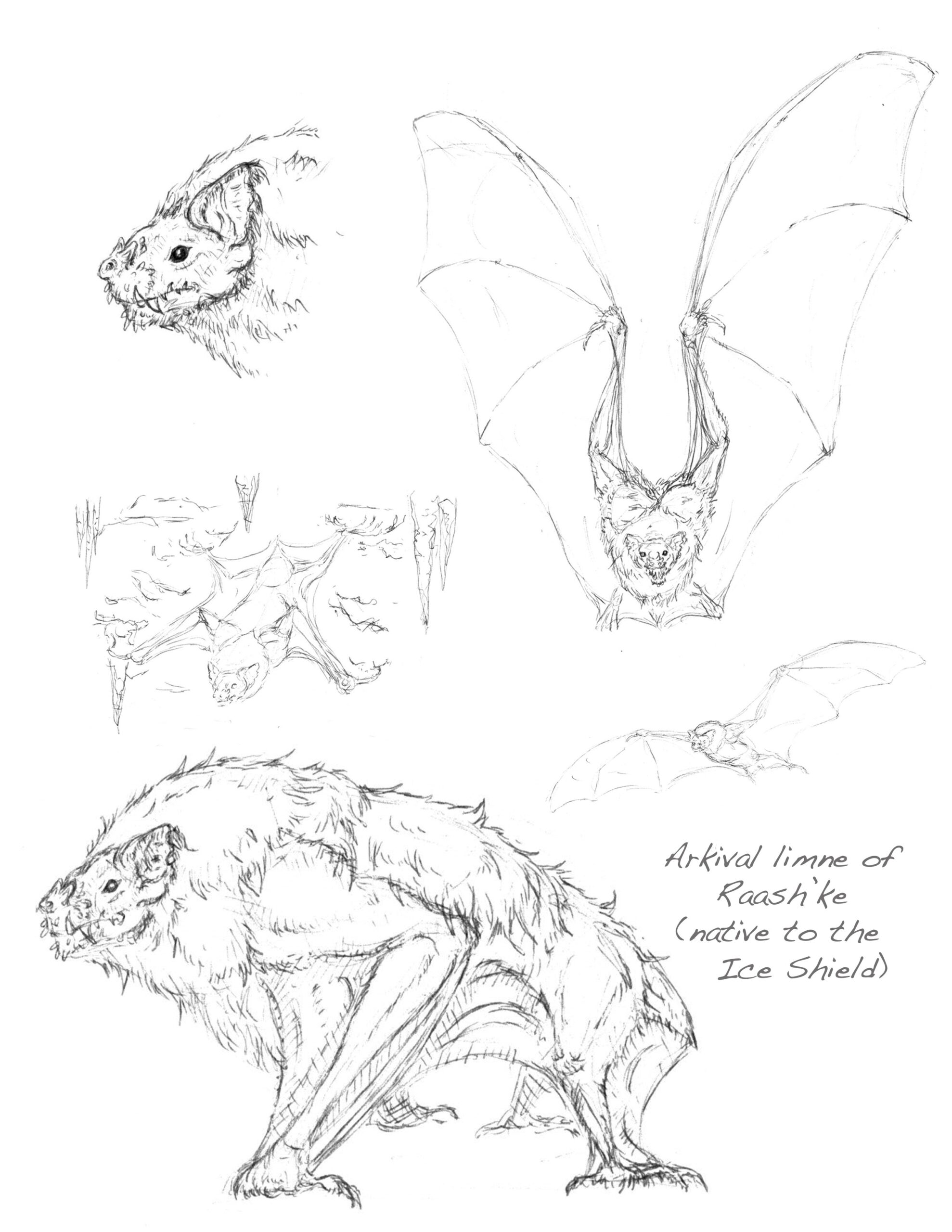 Is a Bat a Dragon? We Asked James Rollins