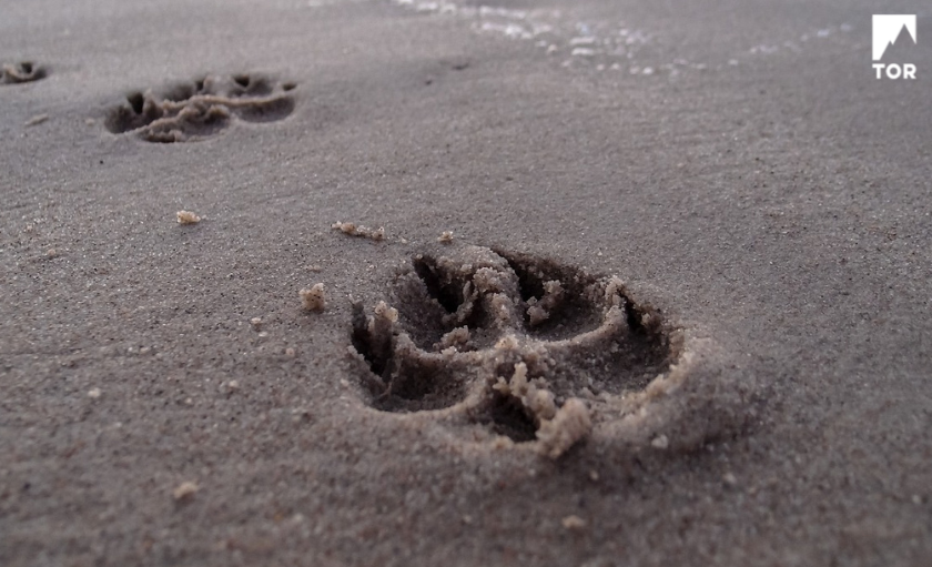 5 Literary Encounters with Legendary Beings - Tor/Forge Blog