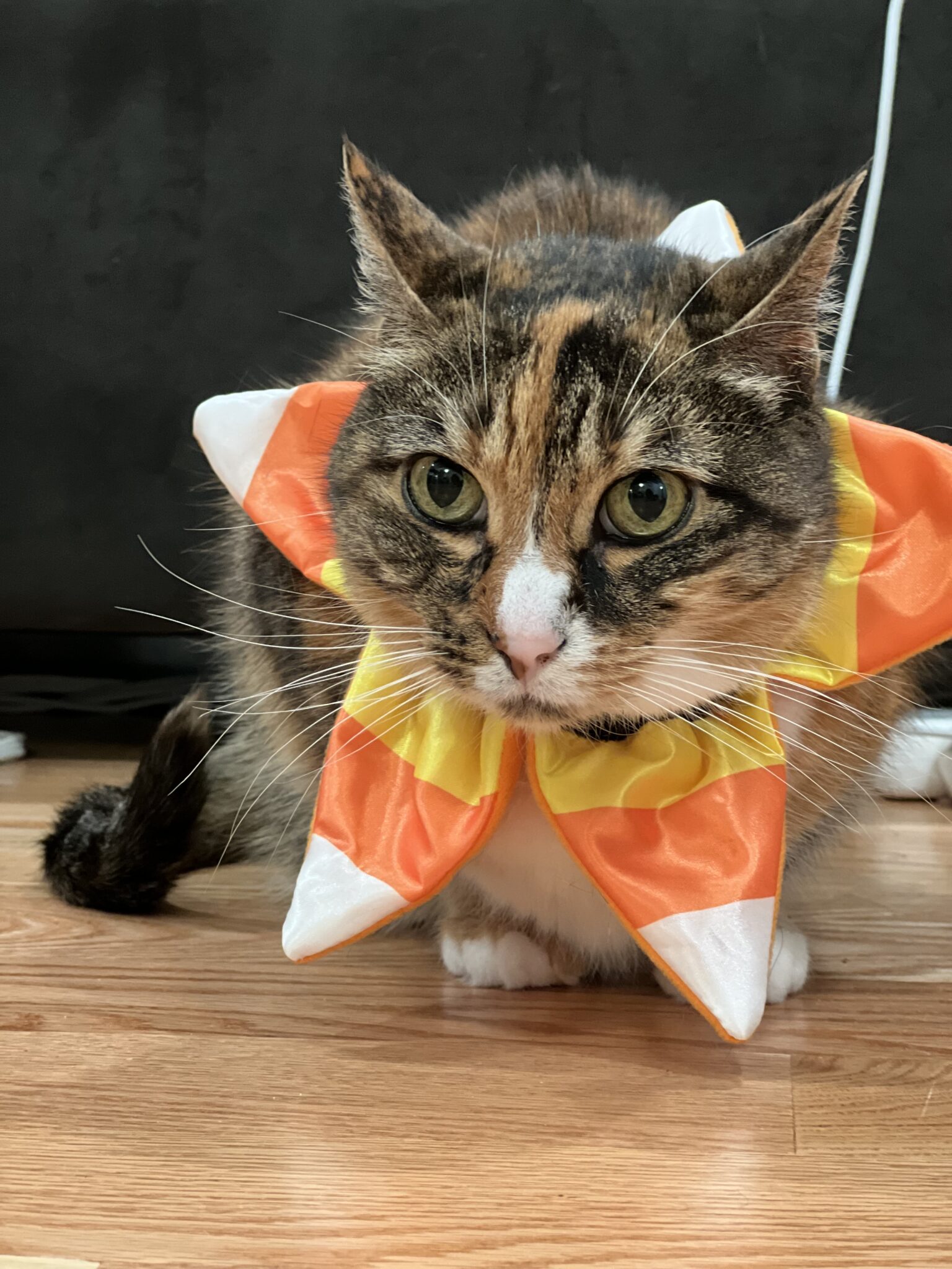 Tor/Forge Blog - Science Fiction, Fantasy, Horror, Mystery, Thriller & Suspense, and Other ...