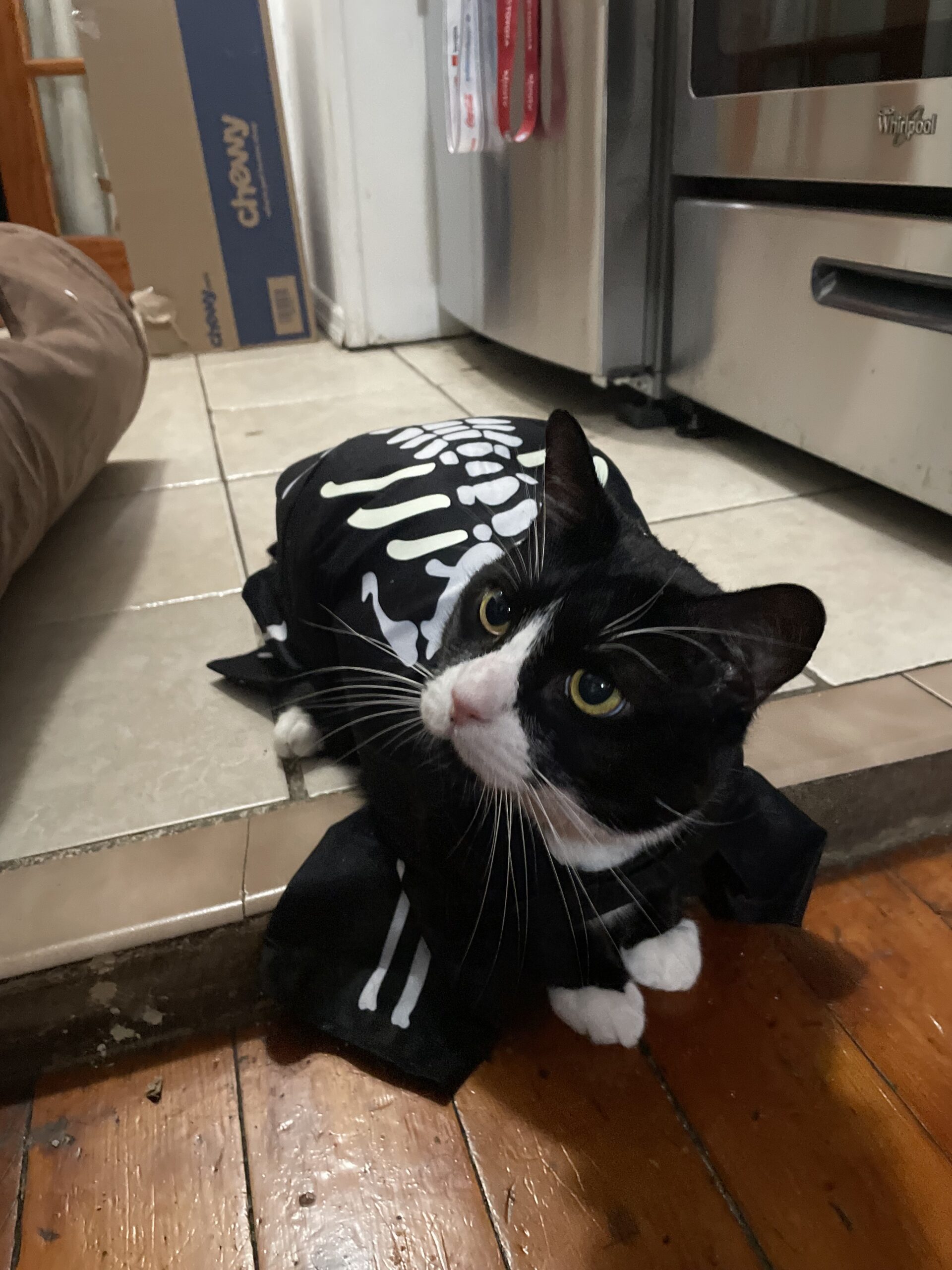 Tor/Forge Blog - Science Fiction, Fantasy, Horror, Mystery, Thriller ...